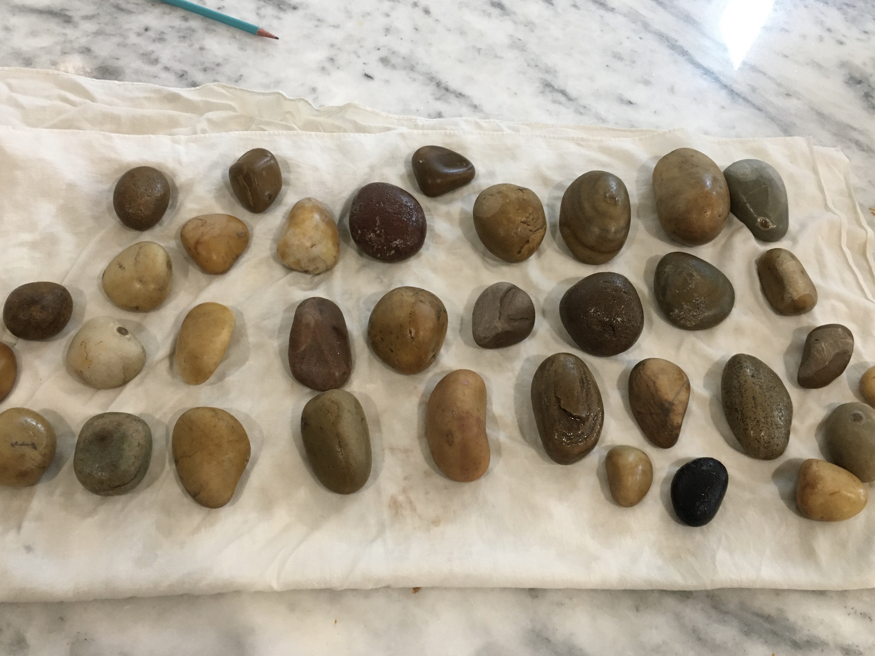 Rock painting – Critters and Craft