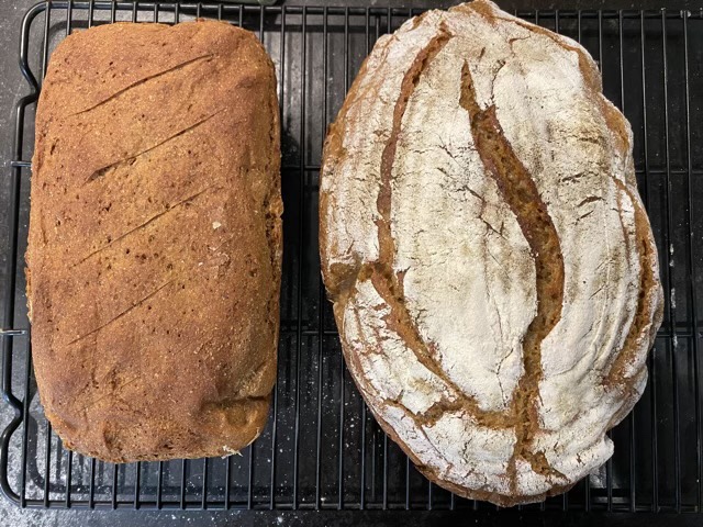 Rye comparison – Critters and Craft