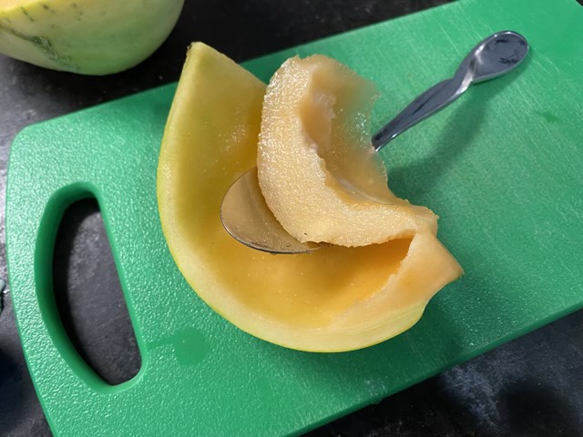 Melon shake – Critters and Craft