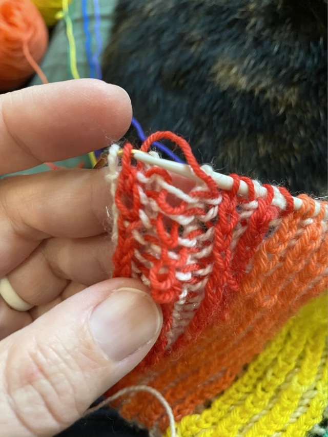 Rainbow runner – Critters and Craft