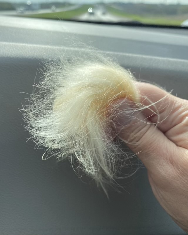 Soybean fiber – Critters and Craft