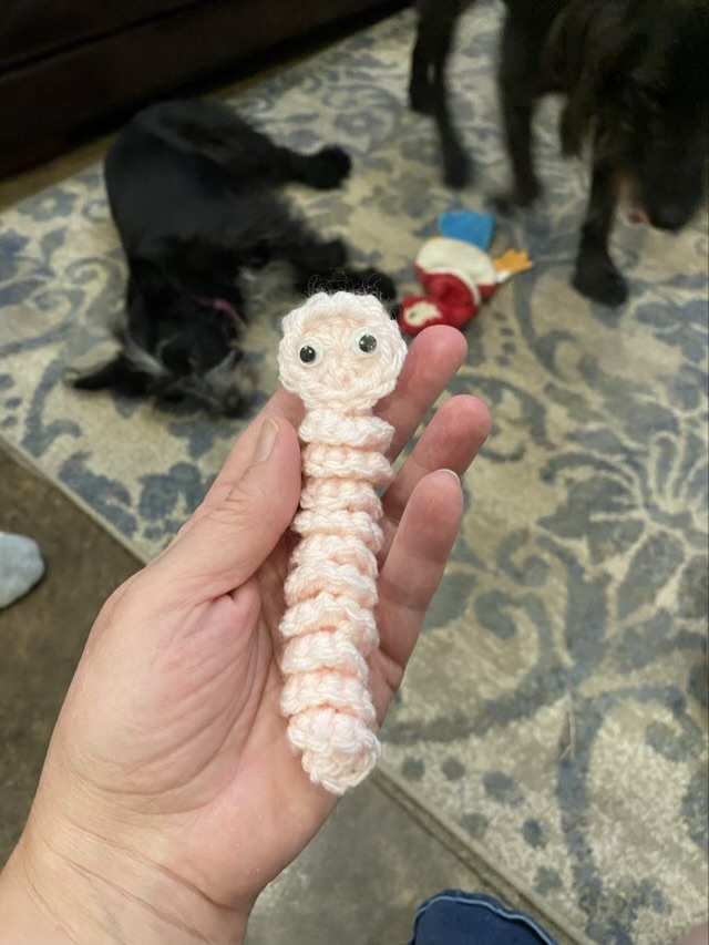 Worry worm – Critters and Craft