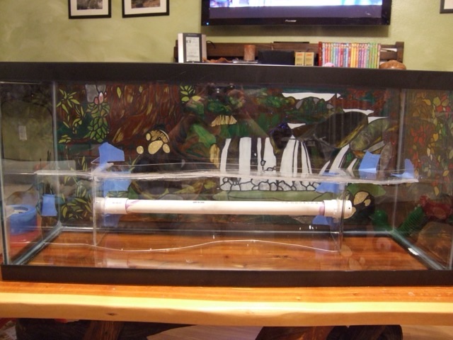 Throwback Thursday: Terrarium build – Critters and Craft