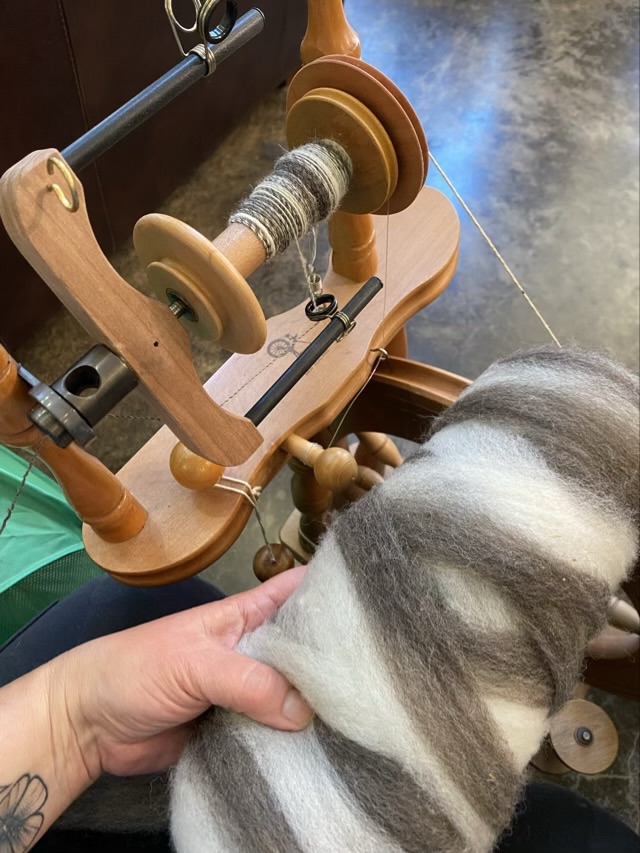 Jacob’s sheep roving – Critters and Craft