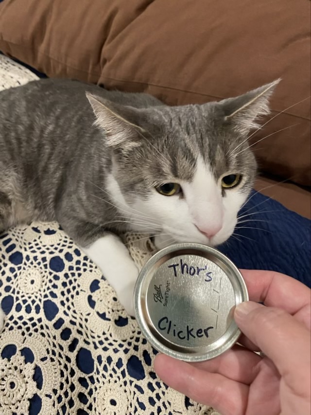 Clicker – Critters and Craft