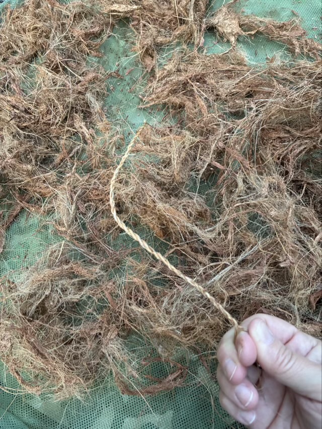 Coconut coir fiber – Critters and Craft